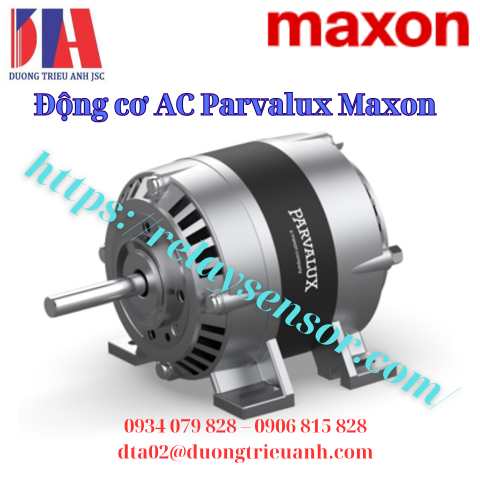 Động cơ AC Parvalux Maxon - Công ty cổ phần Dương Triều Anh