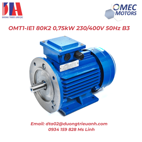 OMT1-IE1 80K2 OMEC Motor chính hãng - Công ty cổ phần Dương Triều Anh